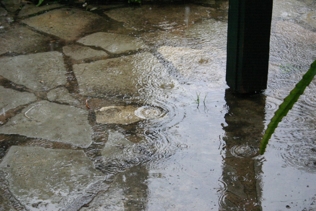Turn the Water ON - Waterwise Gardener
